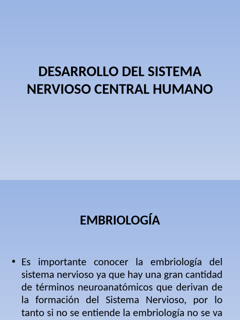 Embriologia Del SN | PDF | Cerebro | Sistema nervioso