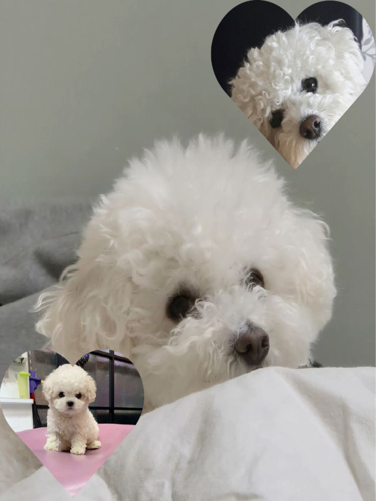 Diseño Sin Título | PDF
