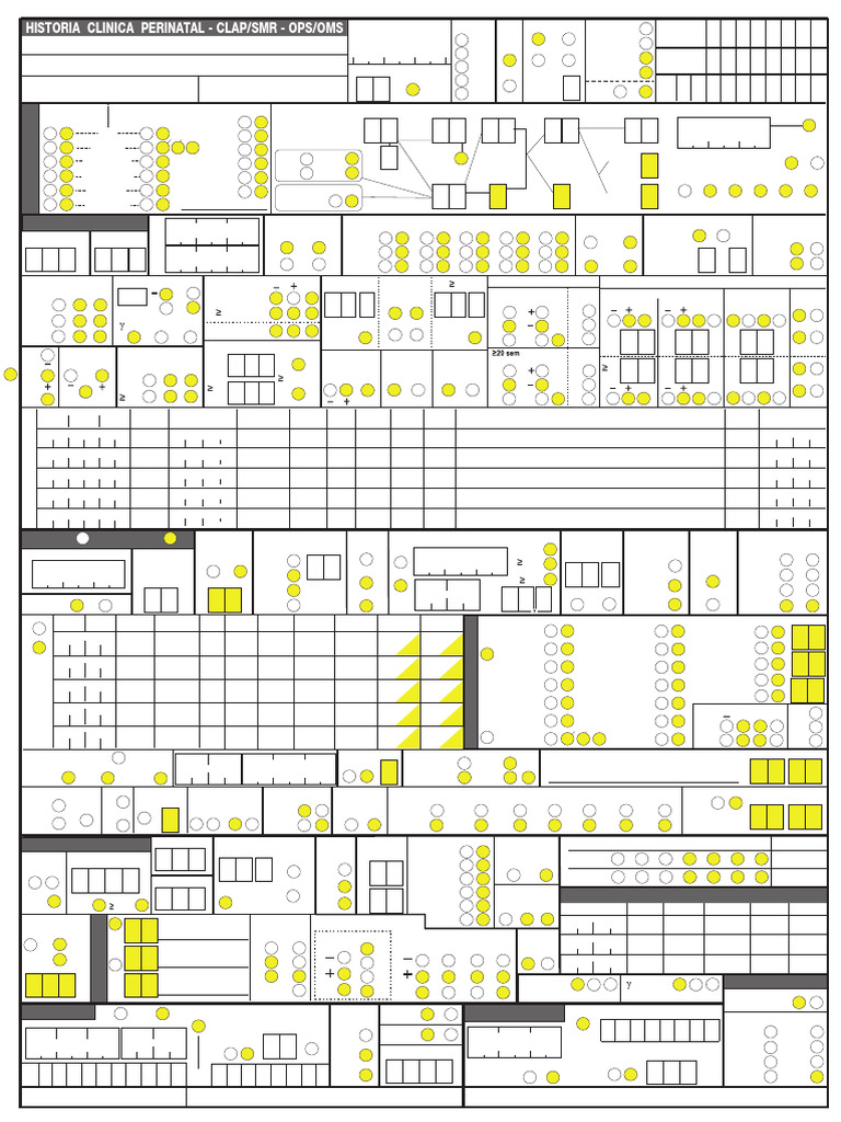 Carnet Perinatal | PDF | La salud de la mujer | Obstetricia