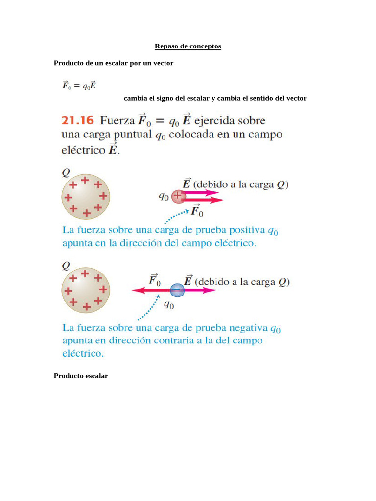 00 Repaso de Conceptos | PDF