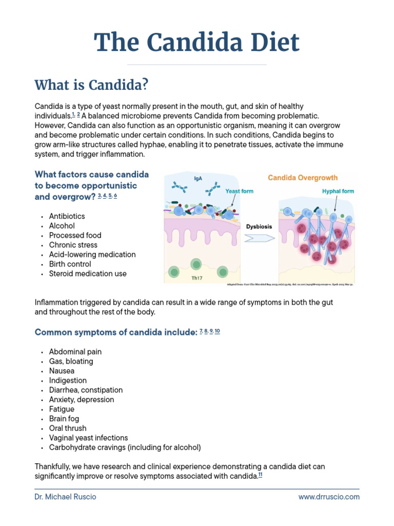 Candida Diet Handout 2024 | PDF | Candidiasis | Foods