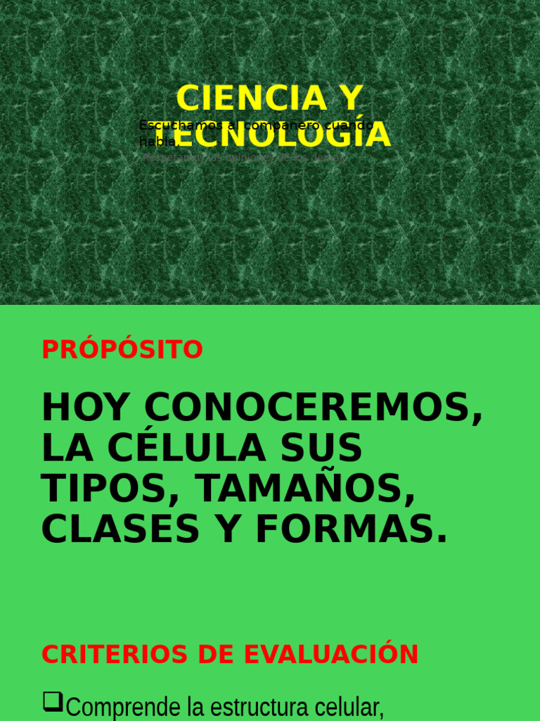 Ciencia y Tec | PDF