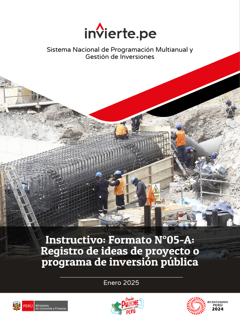 Formulacion 2 Instructivo Registro de Ideas F5 | PDF | Programación de computadoras | Informática