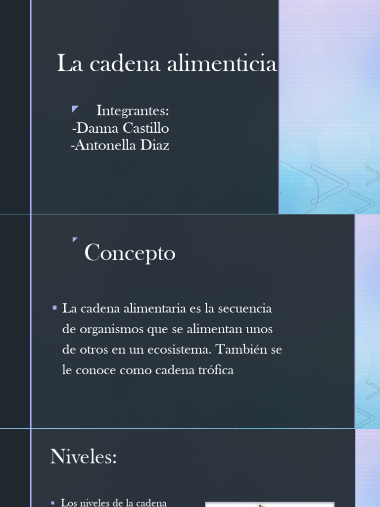 Niveles de la cadena alimenticia | PDF