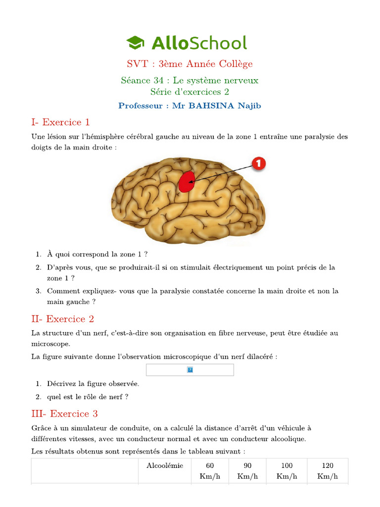 Seance 34 Le Systeme Nerveux Serie D Exercices 2 | PDF