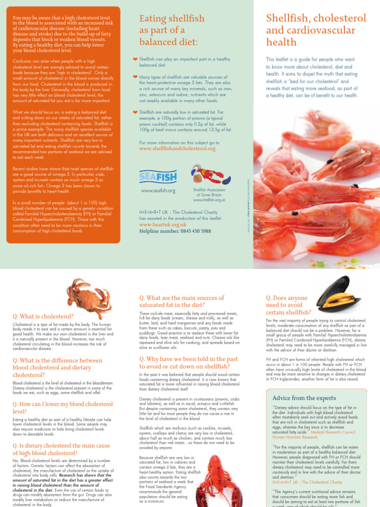 99205Cholesterol Leaflet FINAL as at 150708 | PDF | Fat | Healthy Diet