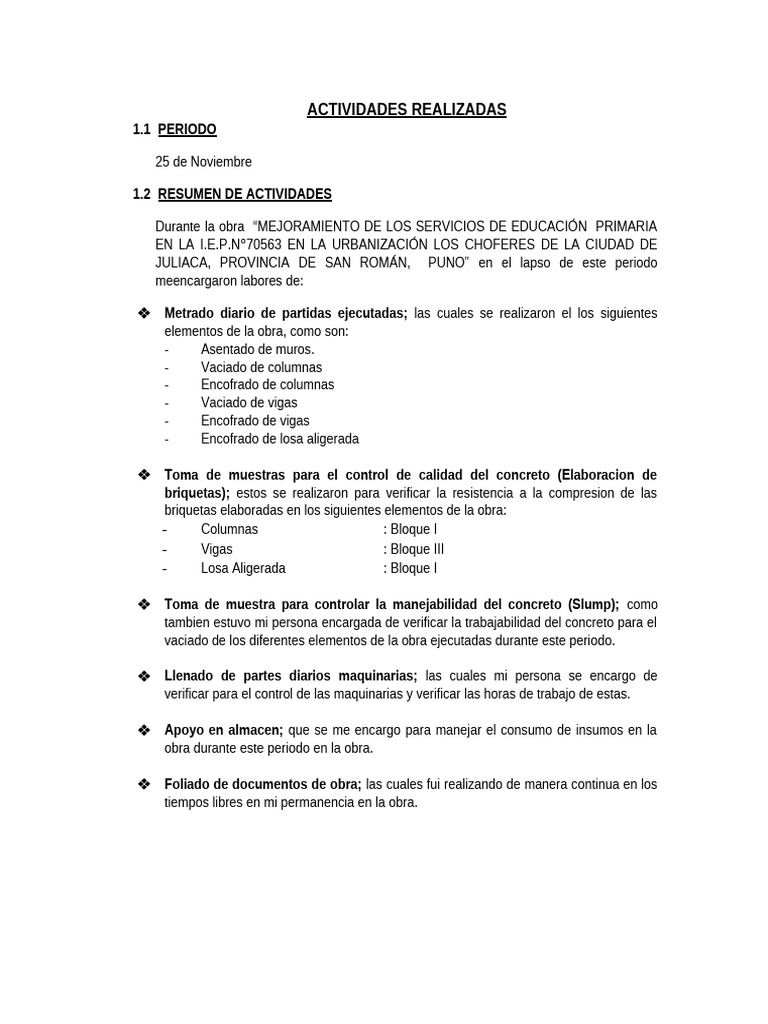 Modelo de Informe de Actividades | PDF