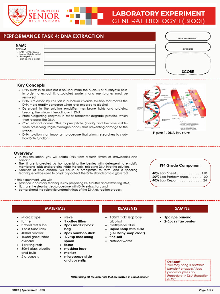 (Editable) PT4 DNA Extraction | PDF | Dna | Proteins