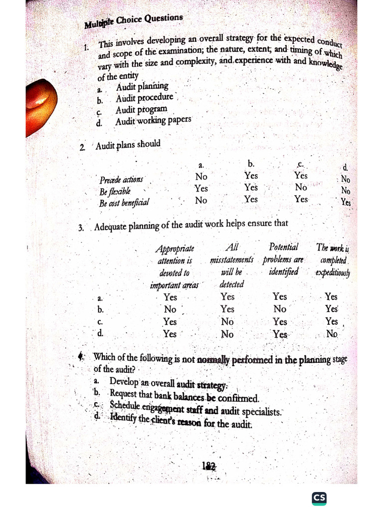 Audit Planning | PDF
