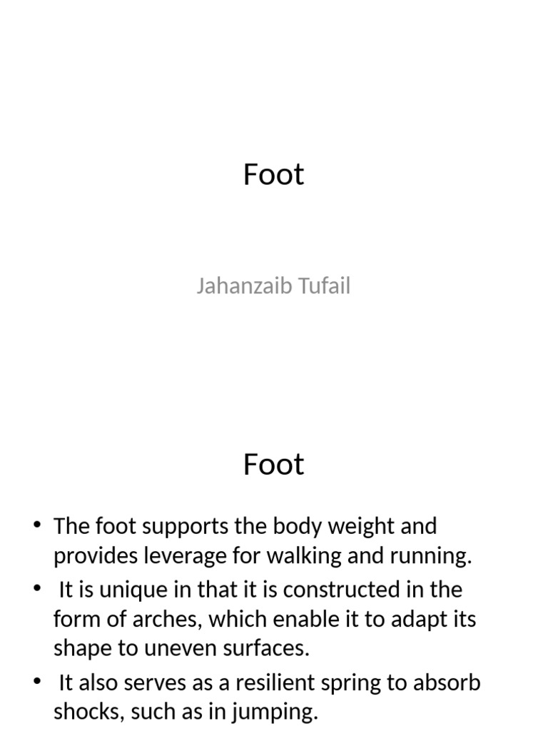 Anatomy of the Sole of the Foot | PDF | Foot | Musculoskeletal System