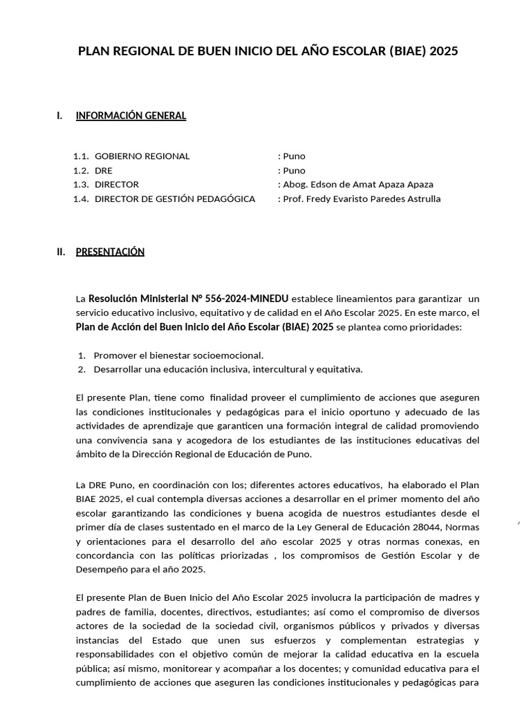 Plan Accion BIAE 2025 DRE Puno | PDF