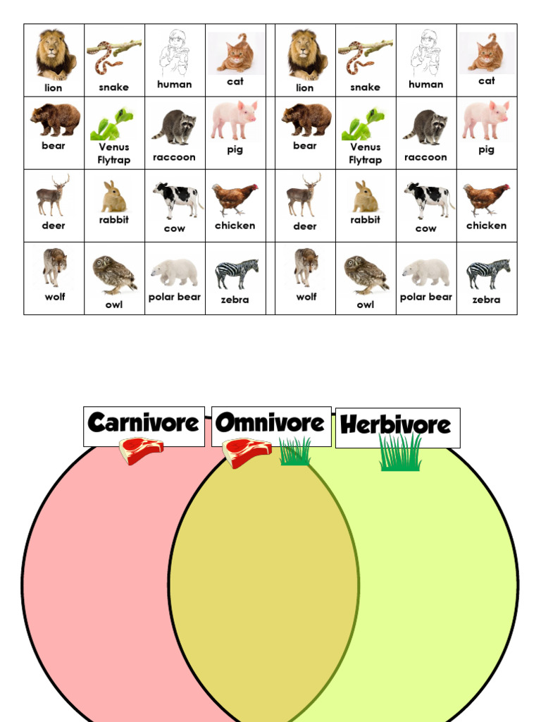 Animal Classification: Types and Examples | PDF