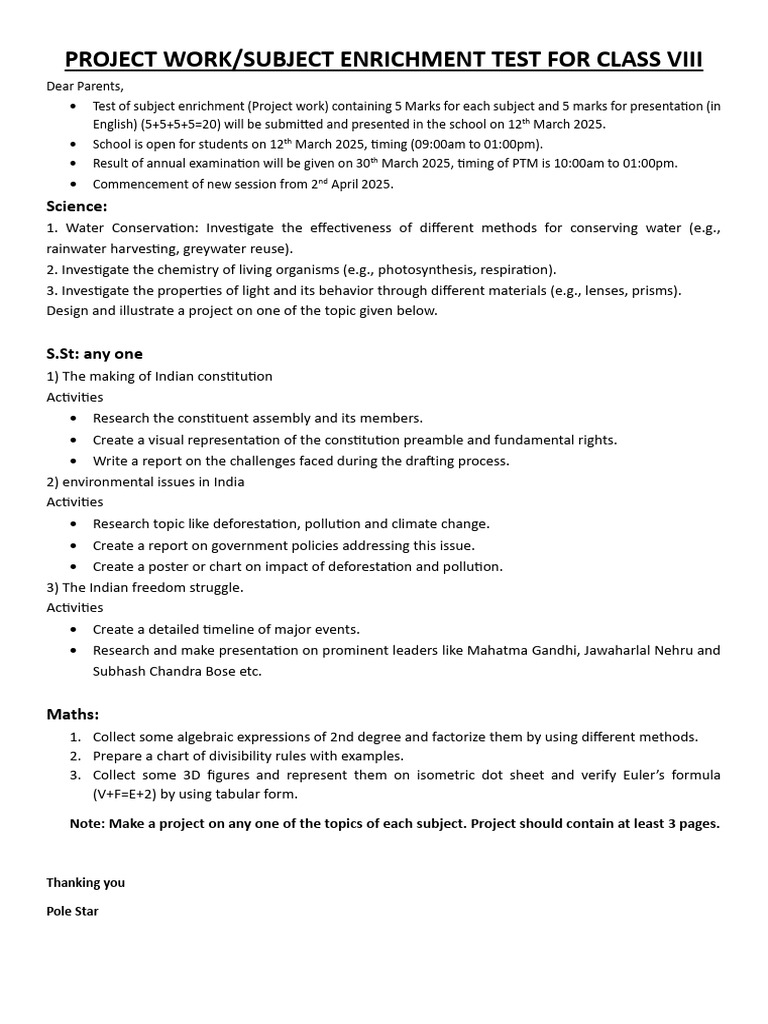 Class VIII Project Work Guidelines | PDF