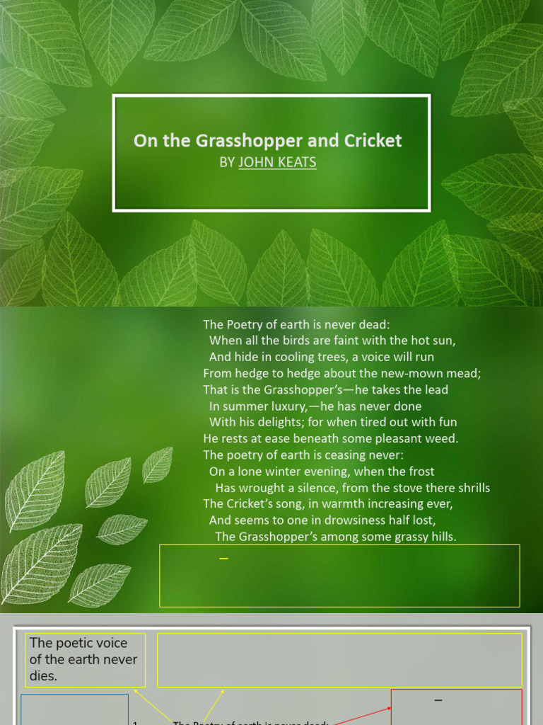 On the grasshopper | PDF | Poetry | Stanzaic Form