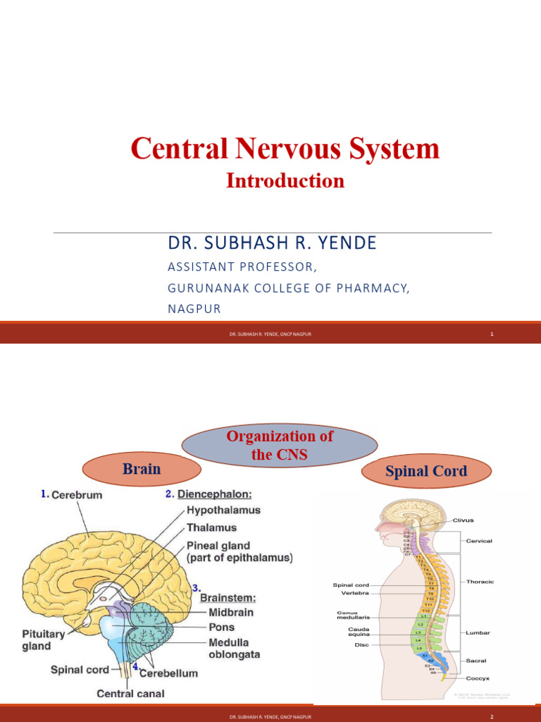 1 Pharmacology I - Introduction CNS | PDF | Neurotransmitter | Acetylcholine