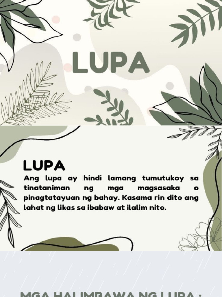 Lupa | PDF
