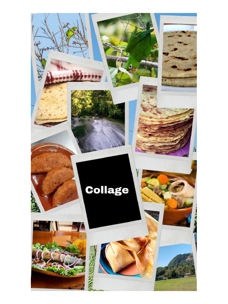 Collage | PDF