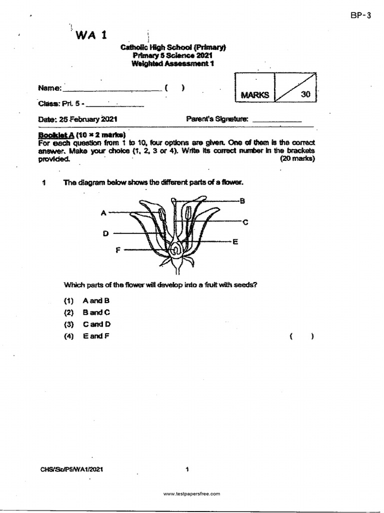 P5 Science 2021 WA1 Catholic High | PDF