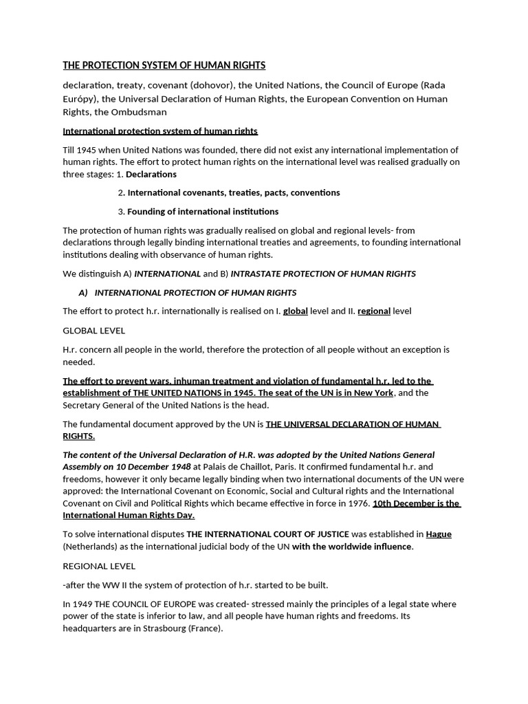 International Human Rights Protection System | PDF | Human Rights ...
