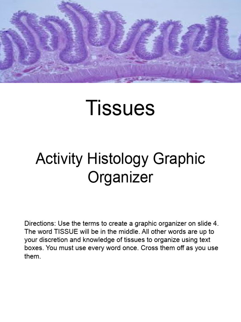 Fatima Aguila Tissues - Activity Histology Graphic Organizer HANDOUT | PDF