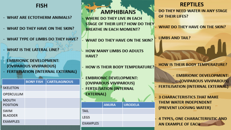 Overview of Ectothermic Animals | PDF