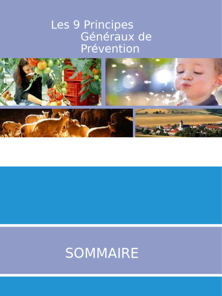 Les 9 Principes Généraux de Prévention Version MSA | PDF | Sécurité