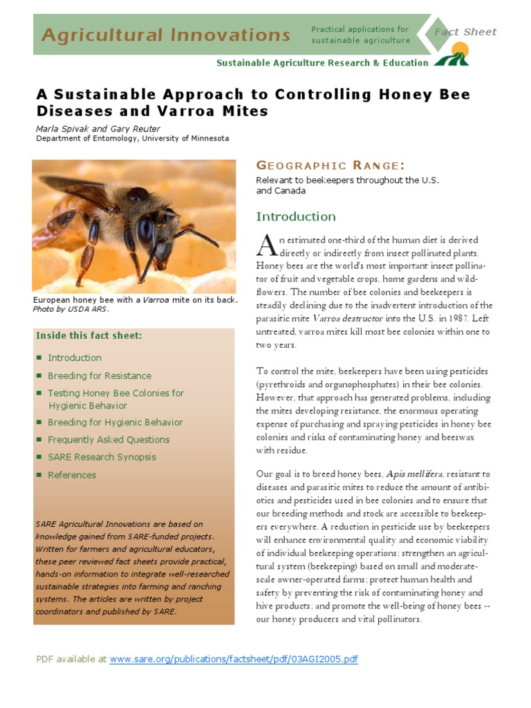 Hygienic Behavior in Honey Bees | PDF | Honey Bee | Beekeeping