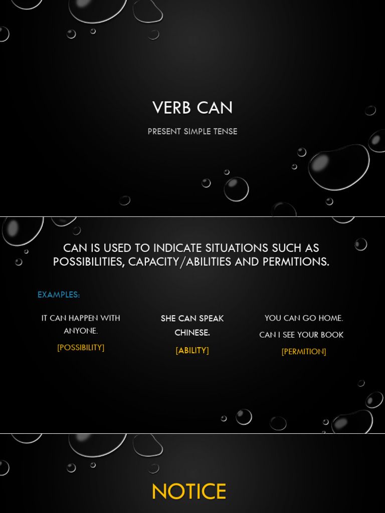 Understanding the Verb "Can" | PDF