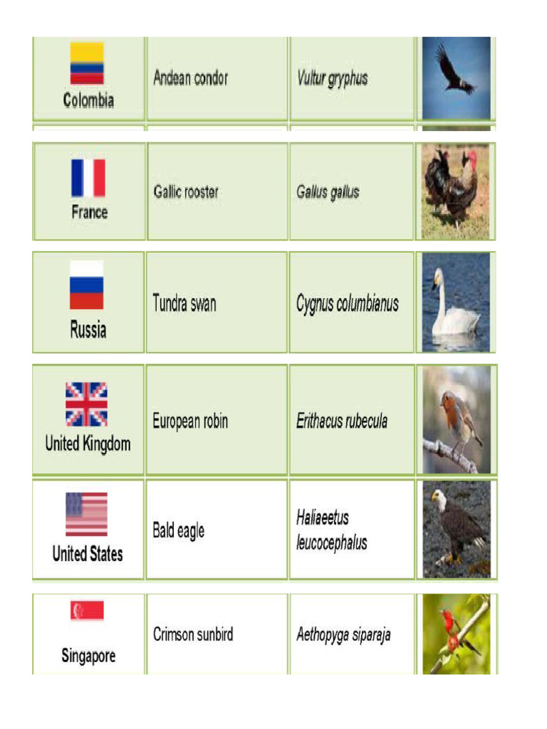National Birds | PDF