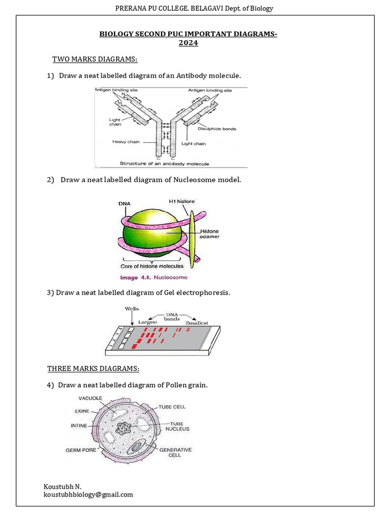 Biology Imp Diagrams_250317_233838 | PDF