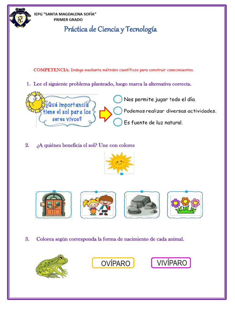 Práctica de Ciencia para Primer Grado | PDF