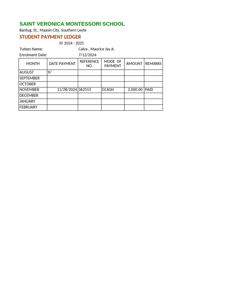 Student Payment Ledger 2024-2025 | PDF