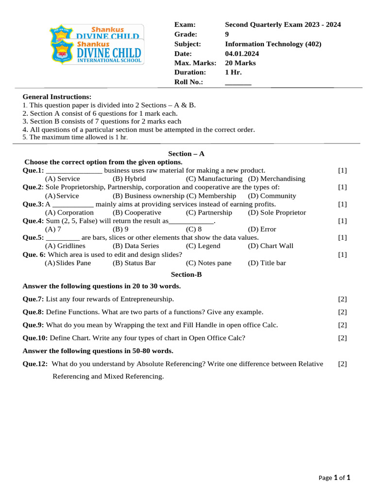 Grade 9 - Information Technology Final Paper | PDF | Business