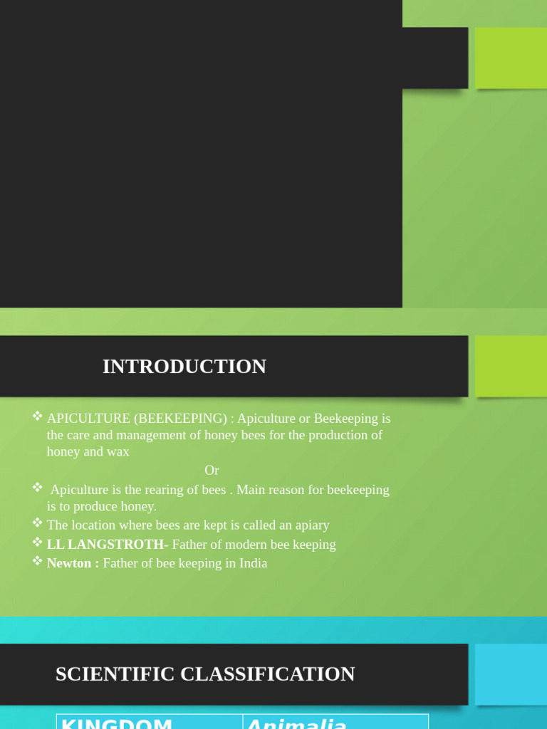 Beekeeping Training Manual Overview | PDF | Beekeeping | Honey Bee