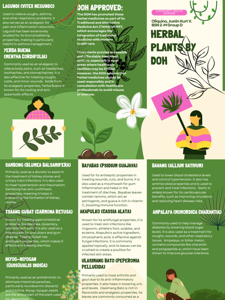 Herbal Plants | PDF | Diarrhea | Gout