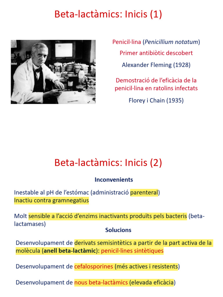 T31 - B-Lactàmics | PDF