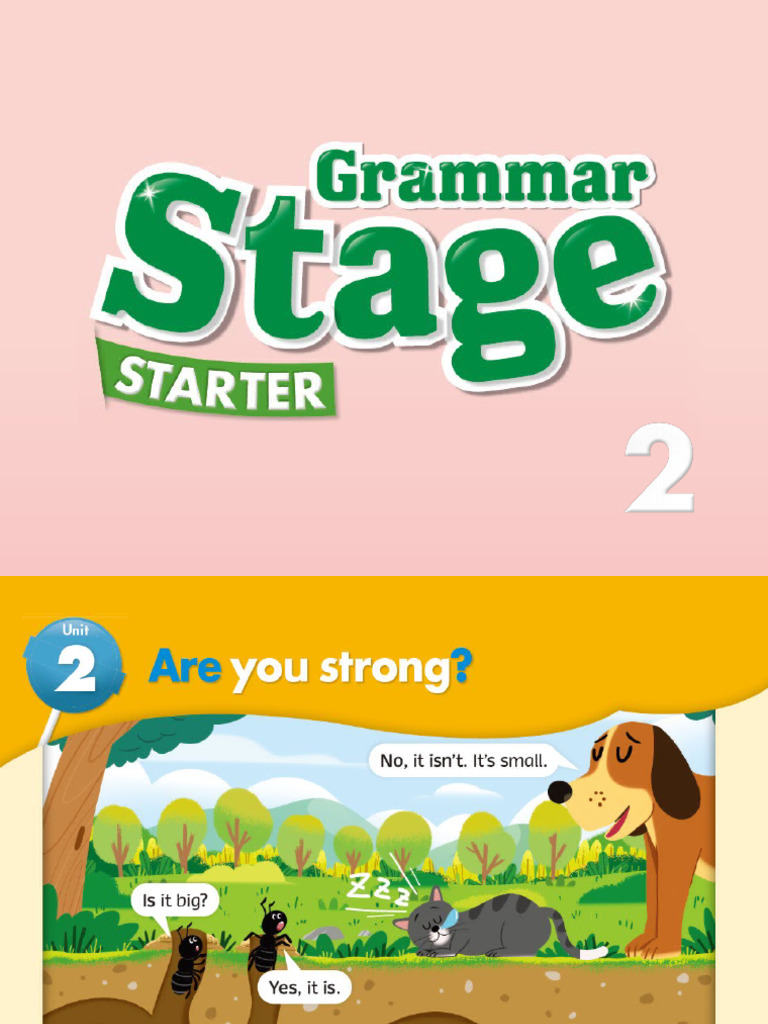 Basic English Question Formation Guide | PDF