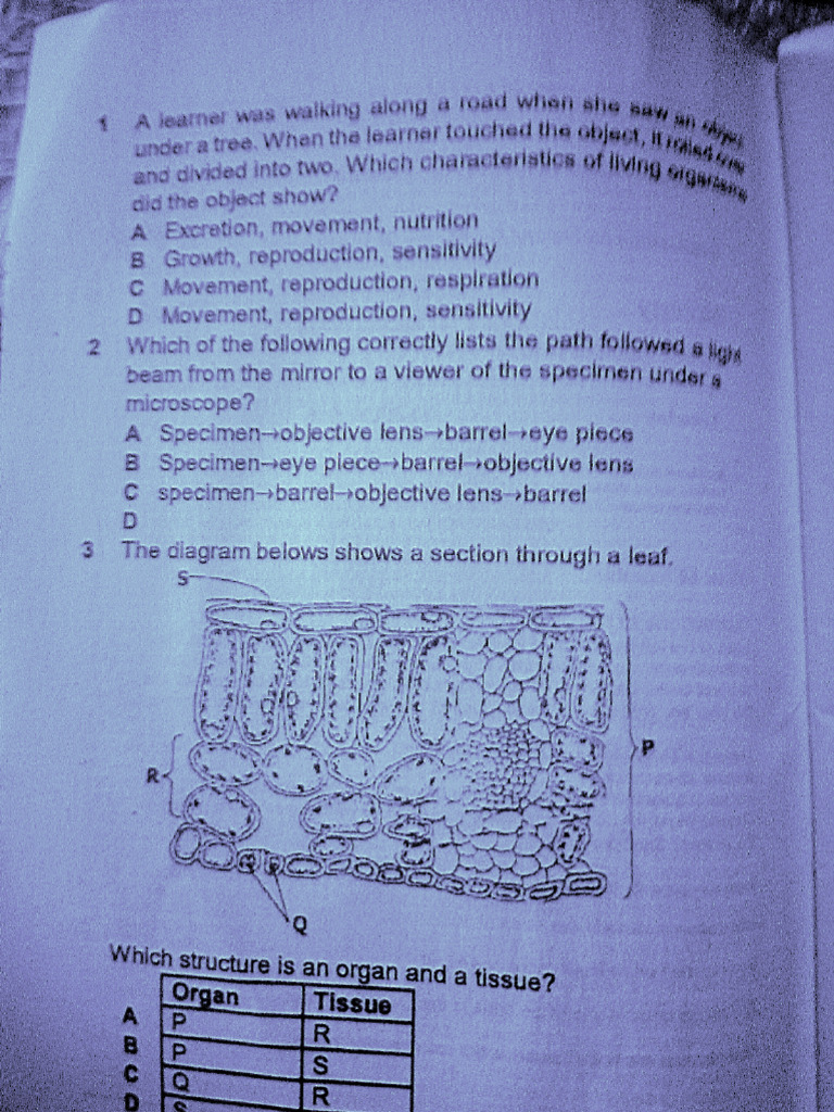 2019 Bio A 1 | PDF
