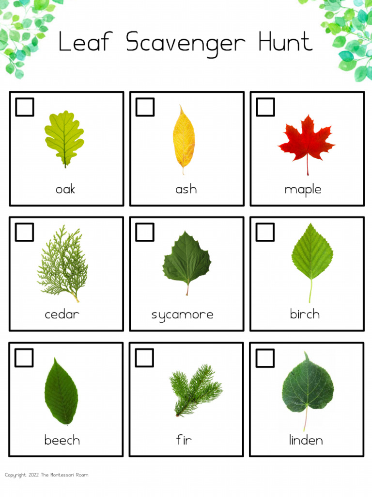 Leaf Scavenger Hunt | PDF