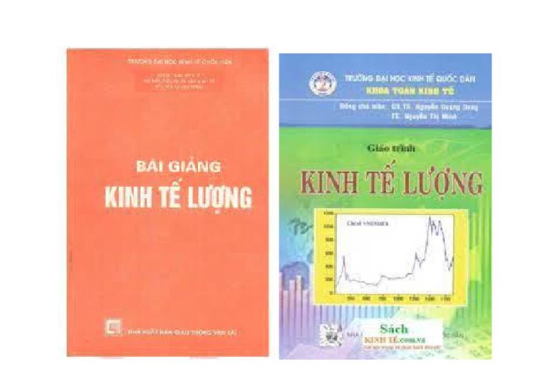Giao Trinh Kinh Te Luong | PDF