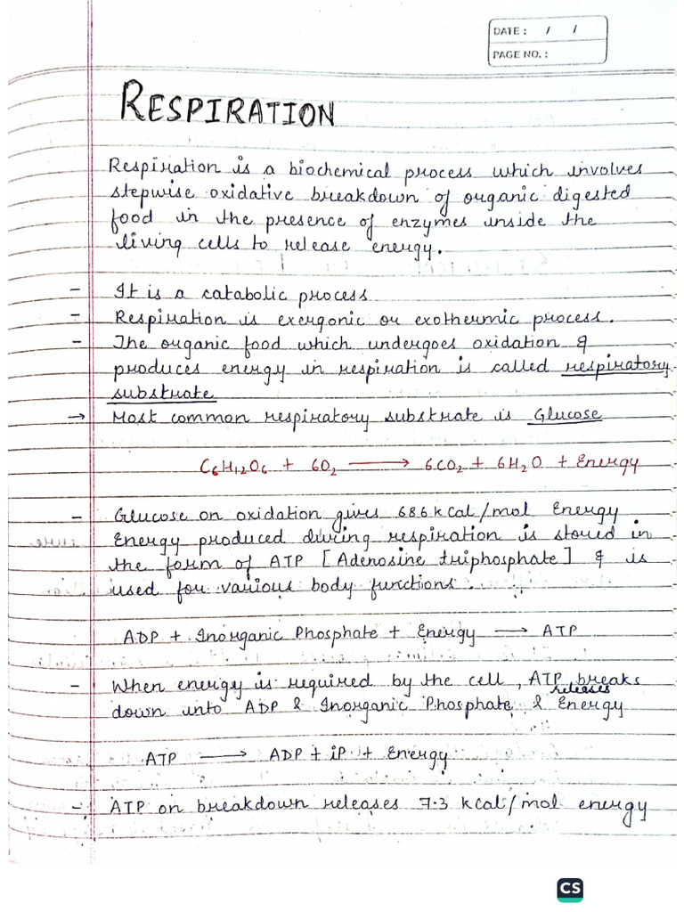 Life Processes - Respiration, Transportation & Excretion | PDF
