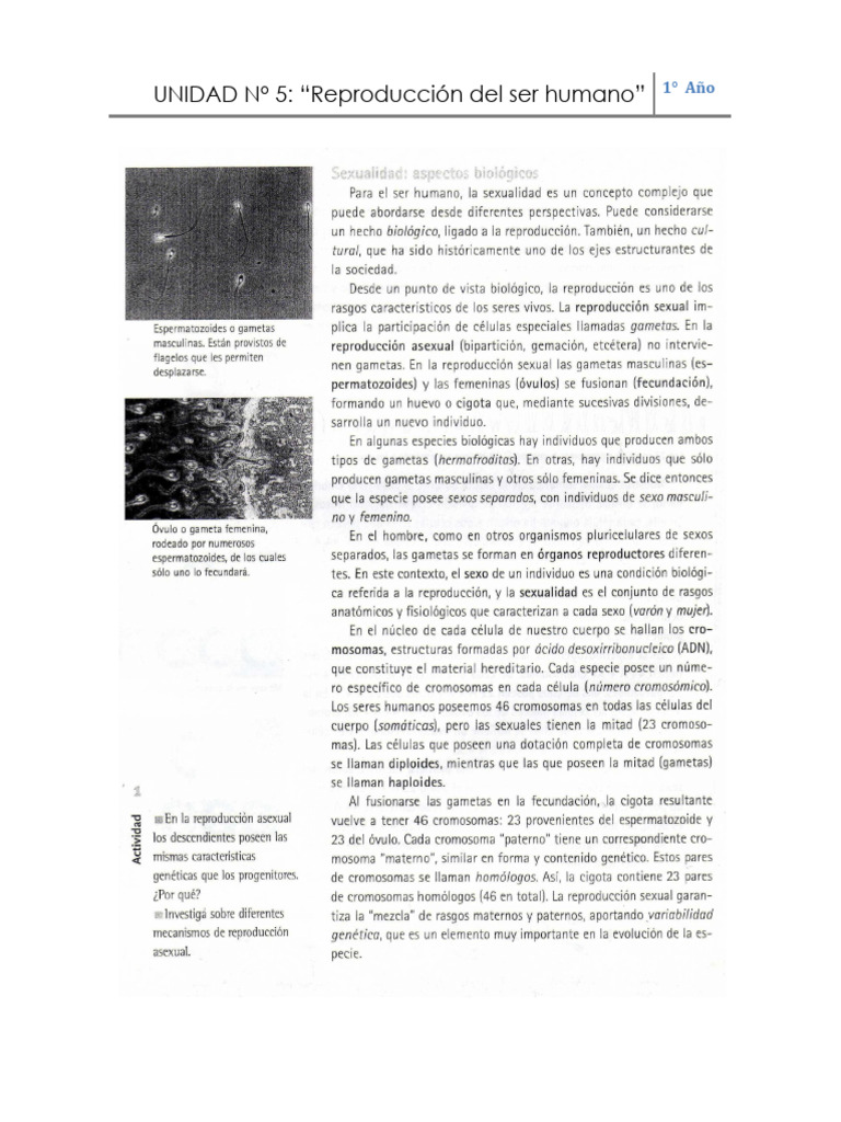 UNIDAD N-5 Reproducci-N Humana | PDF | Reproducción humana | Reproducción