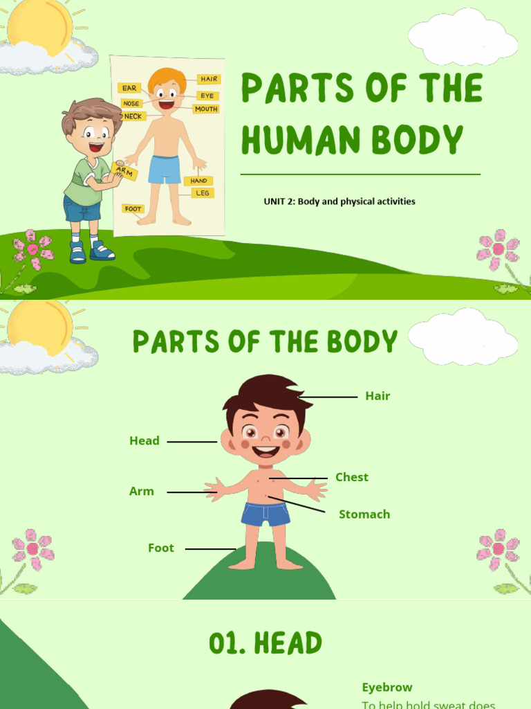 Body Activities and Sports Benefits | PDF | English Grammar ...