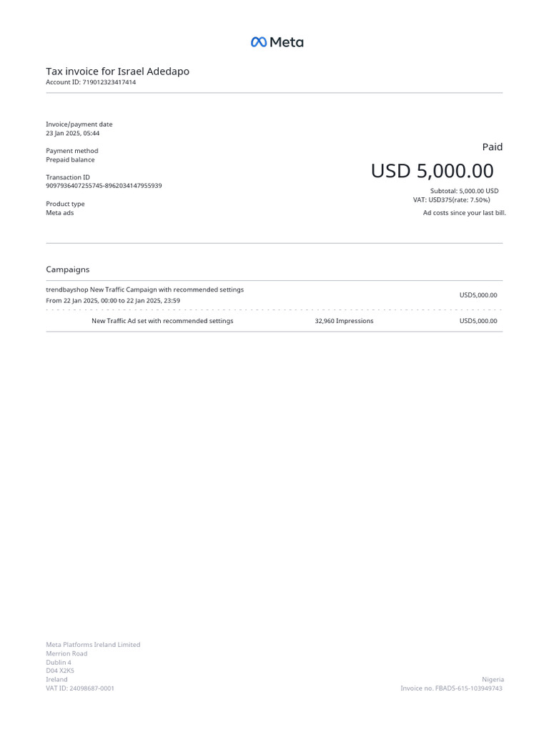 Meta Ads Invoice for January 2025 | PDF