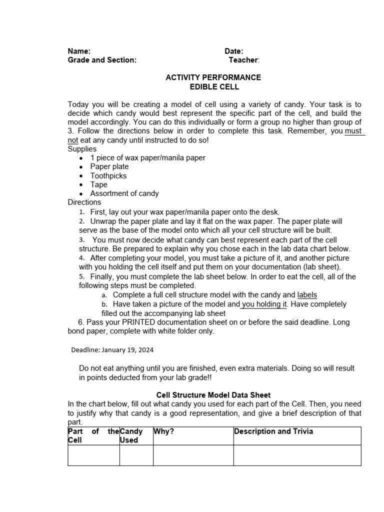 Edible Cell Model Activity Guide | PDF