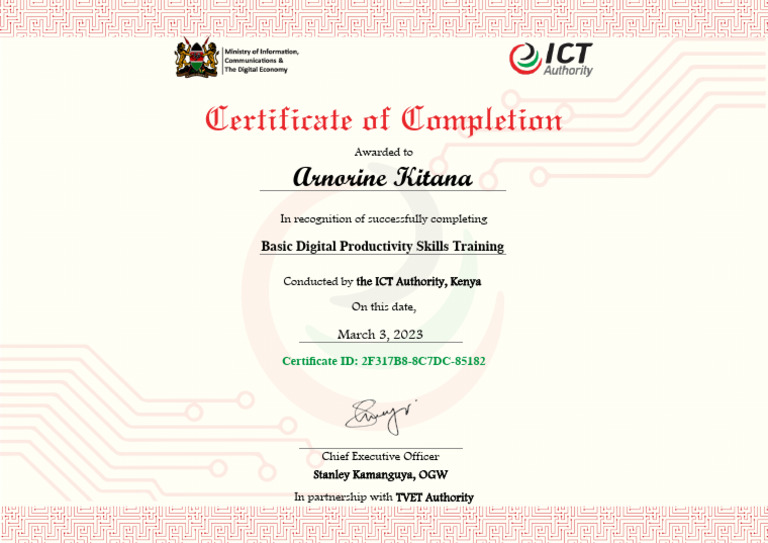 Basic Digital Productivity Skills Training Certificate - Basic Digital ...