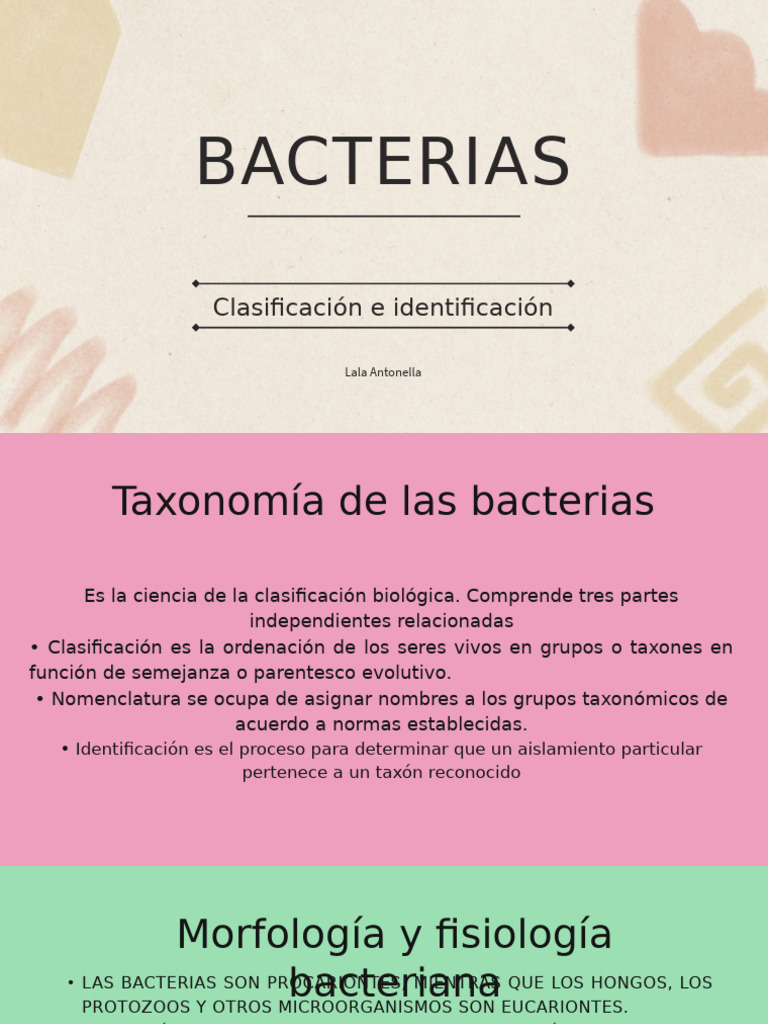 Bacterias. GRAM+ | PDF | Las bacterias | Biología Celular)