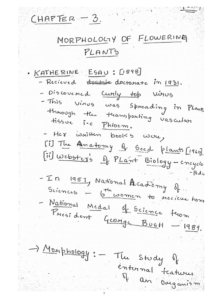 Morphology of Flowering Plants Notes SCC | PDF