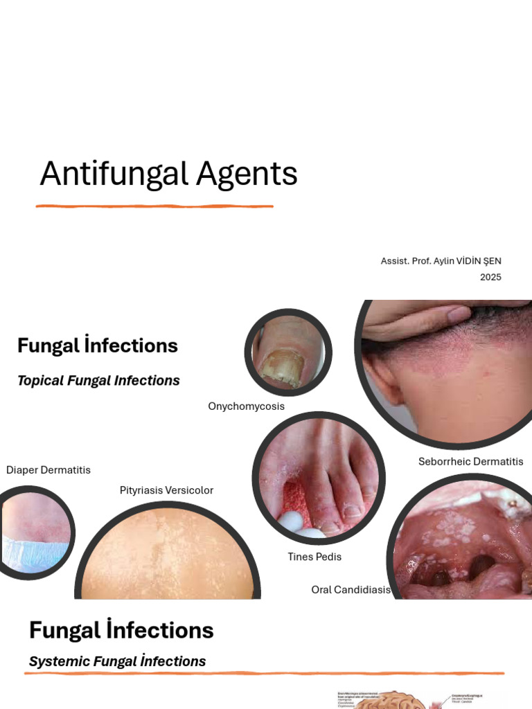 2-6 Antifungal-Antiviral Agents | PDF | Candidiasis | Virus