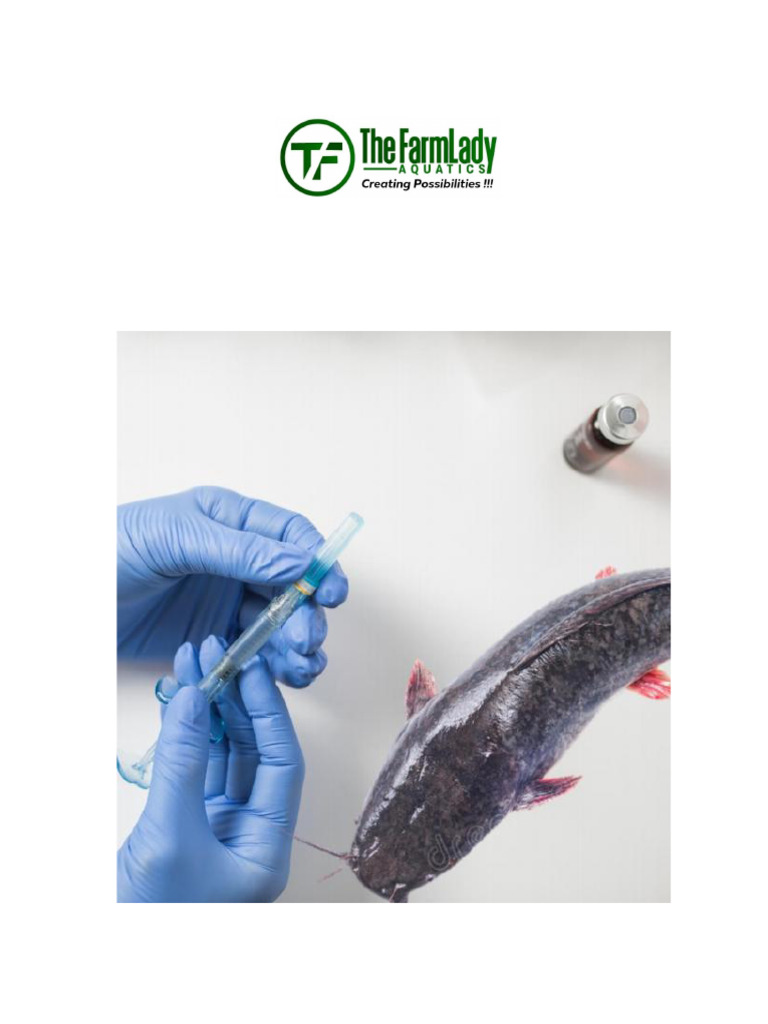 Catfish Hatching and Basic Water Treatment | PDF | Water | Water Treatment